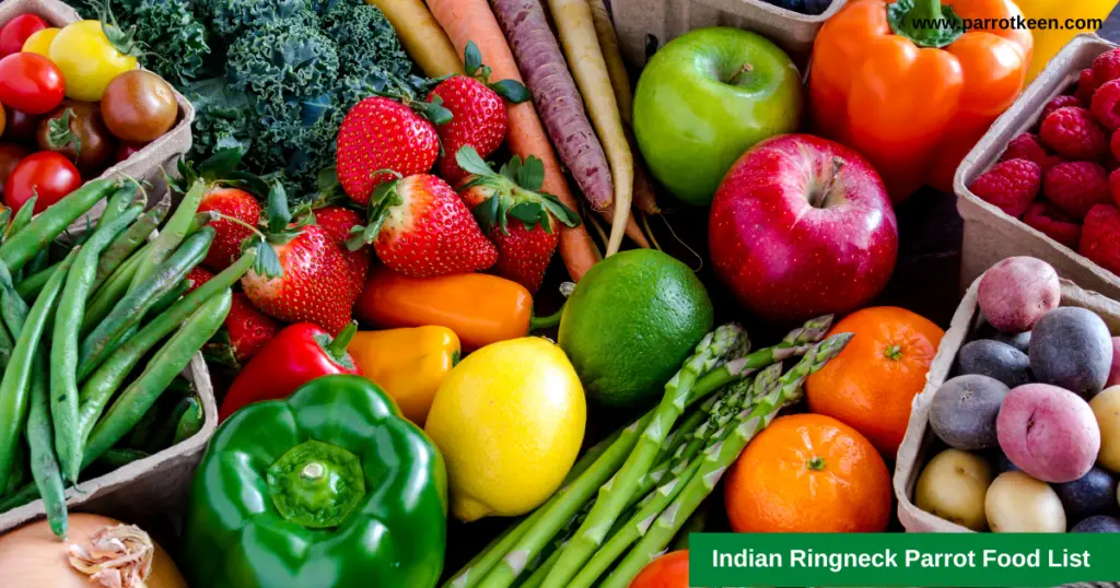 10 Things Not To Feed Your Ringneck Parrot - Parrotkeen