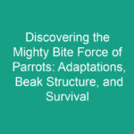 Discovering the Mighty Bite Force of Parrots: Adaptations, Beak ...