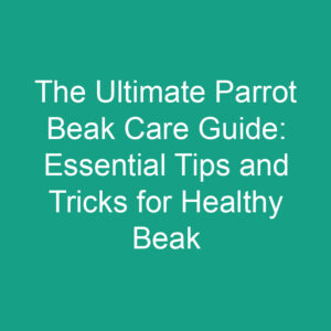 The Ultimate Parrot Beak Care Guide: Essential Tips and Tricks for ...
